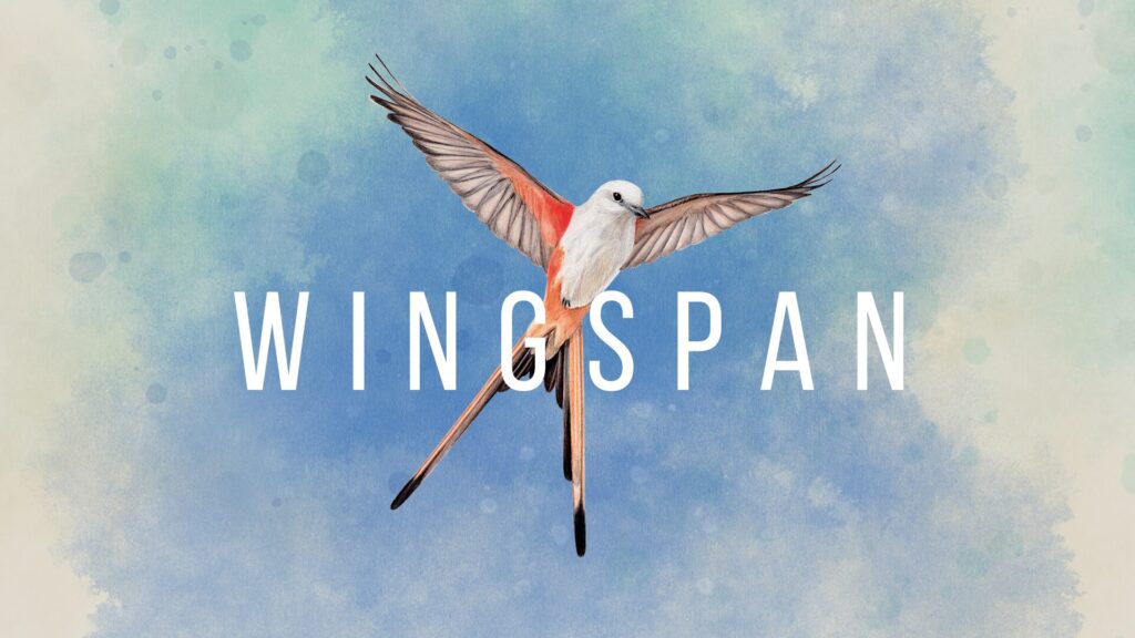 Stonemaier Games announces small-box, quick-playing Wingspan experience ...